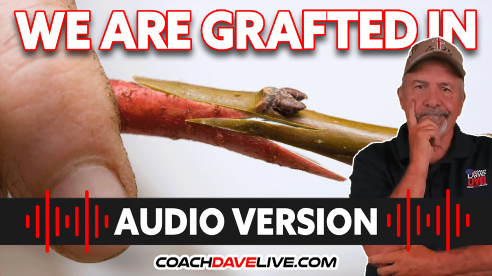 WE ARE GRAFTED IN! | #1821 - AUDIO ONLY - Pass the Salt Ministries